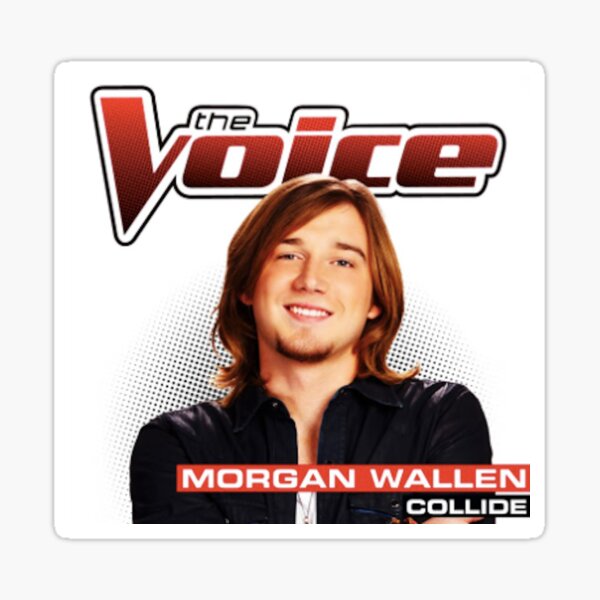 "Morgan Wallen" Sticker for Sale by Honest Designs | Redbubble