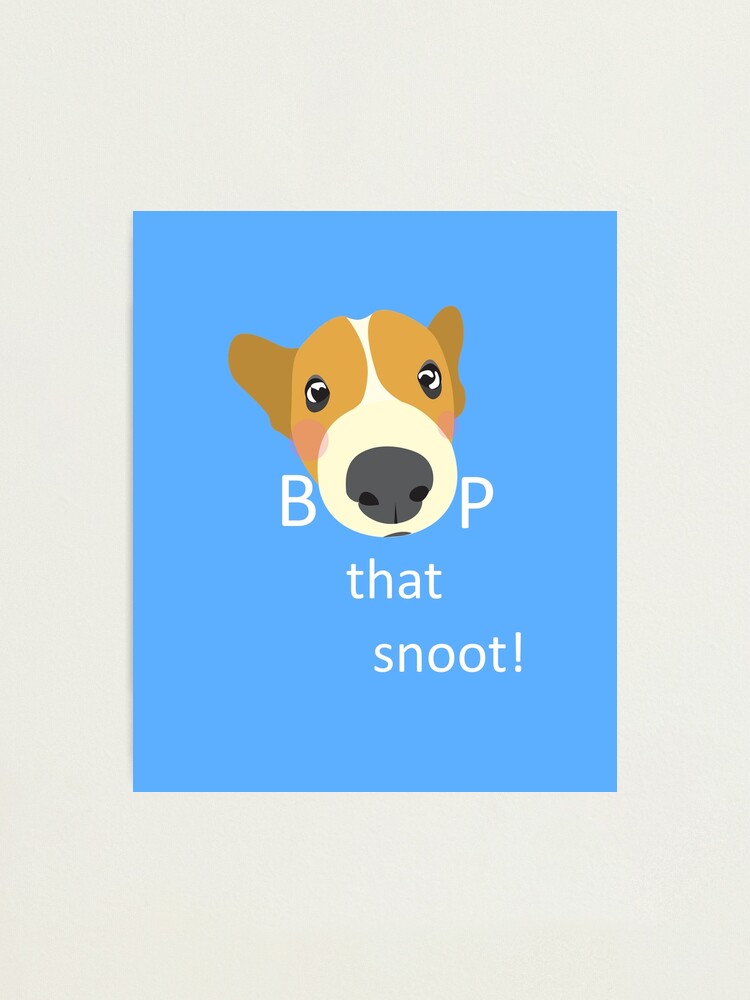 "Boop that snoot! - Corgi Dog Meme" Photographic Print by jadespear ...