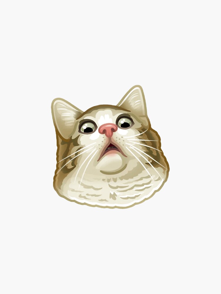 "SHOCKED! Cat meme" Sticker for Sale by MemeSpecialists | Redbubble