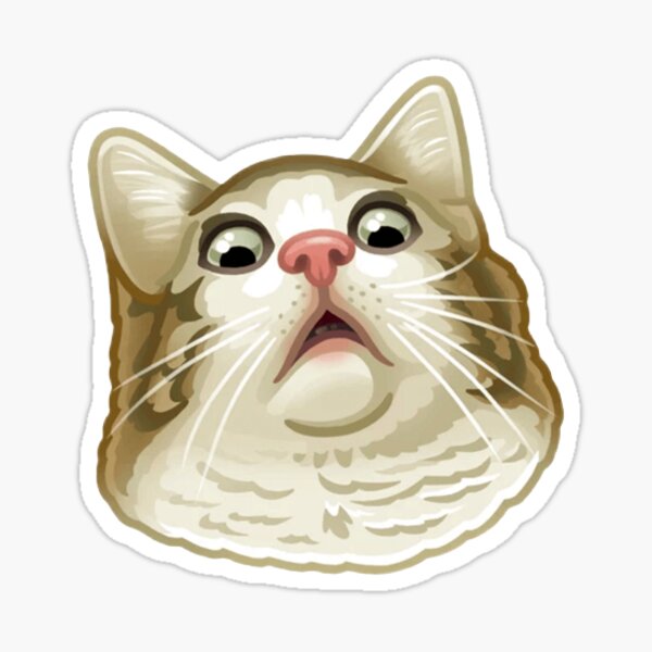 "SHOCKED! Cat meme" Sticker for Sale by MemeSpecialists | Redbubble