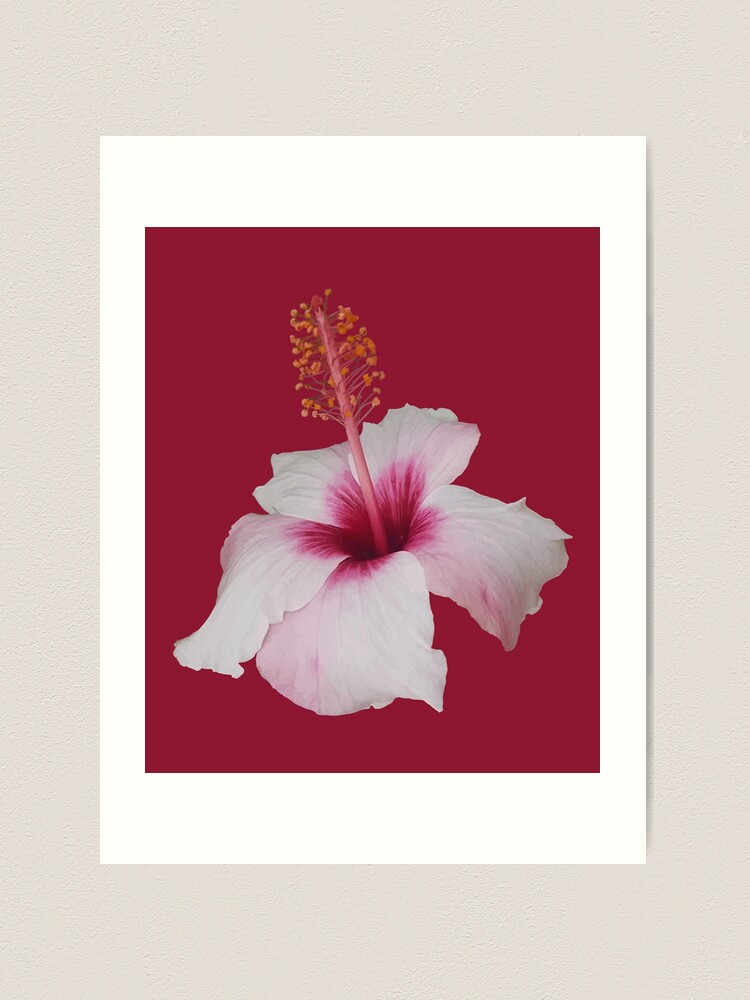 Hibiscus Cut Out Print Out