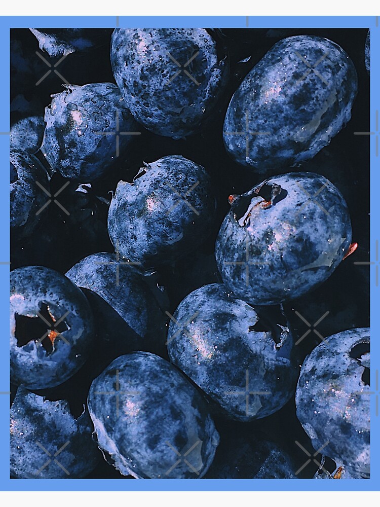 "Blueberries" Sticker for Sale by LFam8 | Redbubble