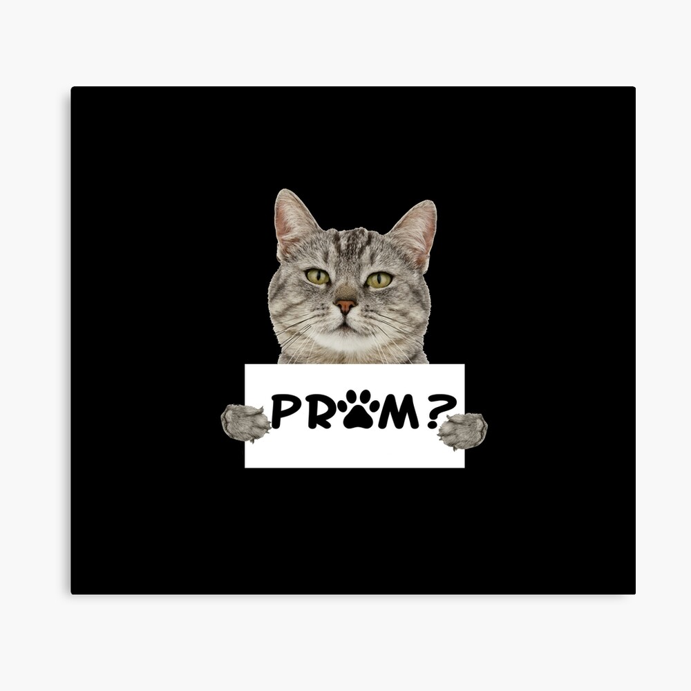 Prom Cat Memes Clean Memes – Page 188 – Clean Memes