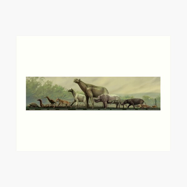 "PALEOGENE ANIMALS. size comparison" Art Print by Mario Lanzas | Redbubble