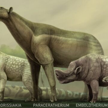 "PALEOGENE ANIMALS. size comparison" Art Print by Mario Lanzas | Redbubble