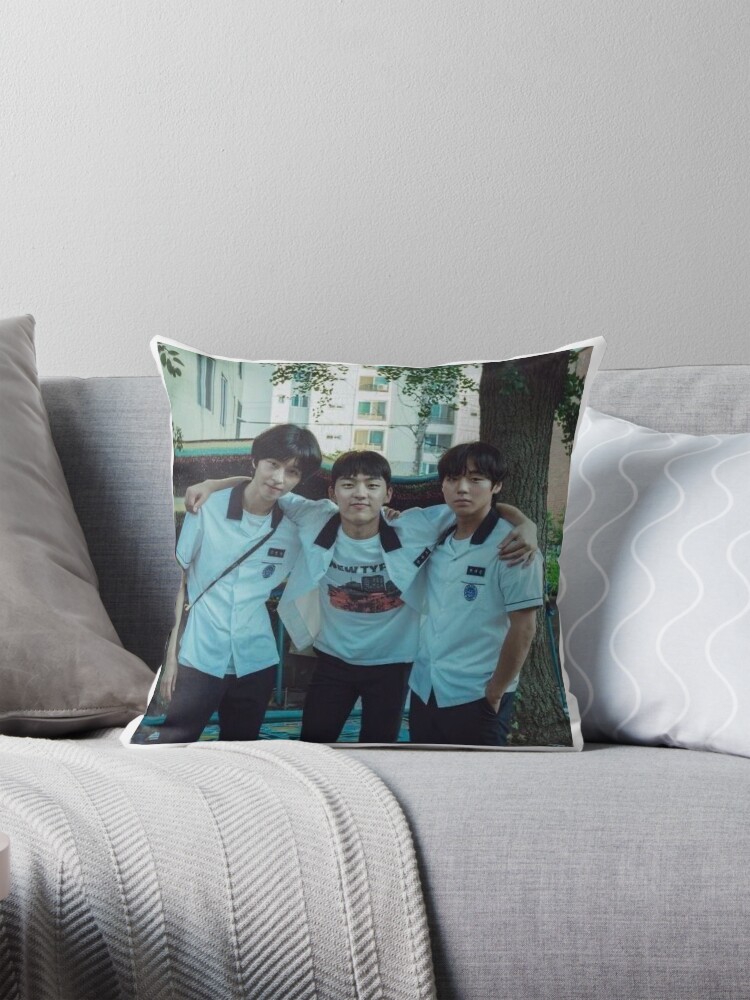 "Weak Hero Class One" Pillow for Sale by skye-creates54 | Redbubble