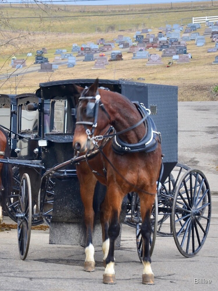 "Buggy Parking in Amish Country, Ohio." iPhone Case for Sale by Billlee ...