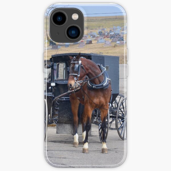 "Buggy Parking in Amish Country, Ohio." iPhone Case for Sale by Billlee ...