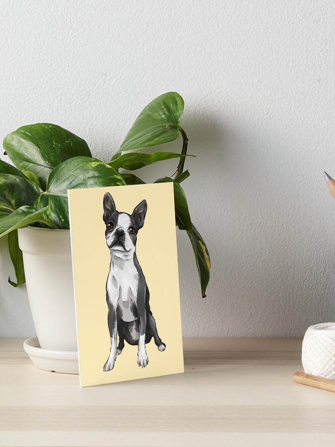 "Cute Boston Terrier Dog" Art Board Print for Sale by shirinsart ...