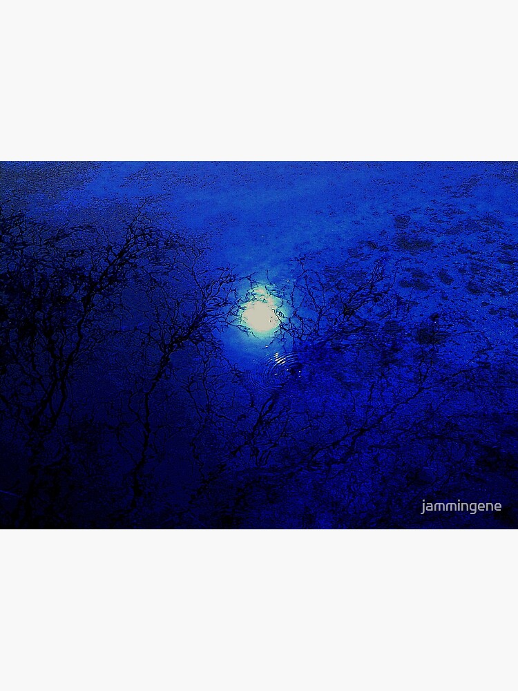 "Staring at the loss...looking for the cause...and never really sure ...