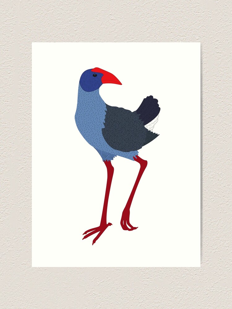 "New Zealand Pukeko" Art Print by Vickicatlow | Redbubble