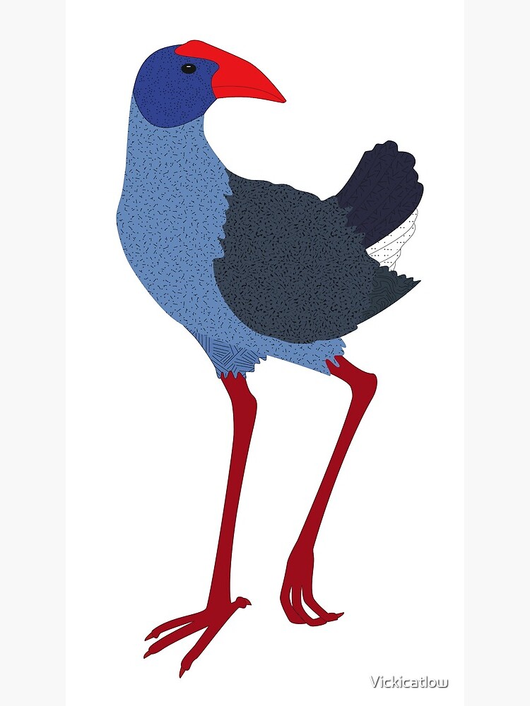 "New Zealand Pukeko" Art Print by Vickicatlow | Redbubble