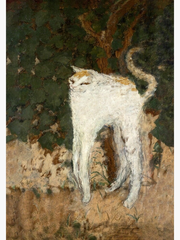 "Pierre Bonnard Le Chat Blanc / the White Cat" Art Print for Sale by ...