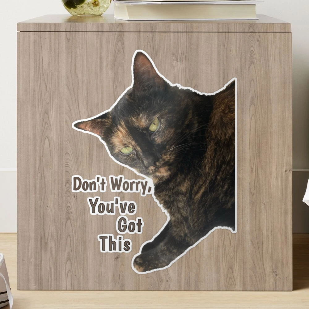 Youve Got This Cat It's Cat To Be You! | Cat Valentine's Day Card