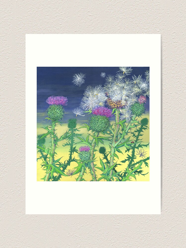 "Scottish Thistle (acrylic on canvas)" Art Print for Sale by ...