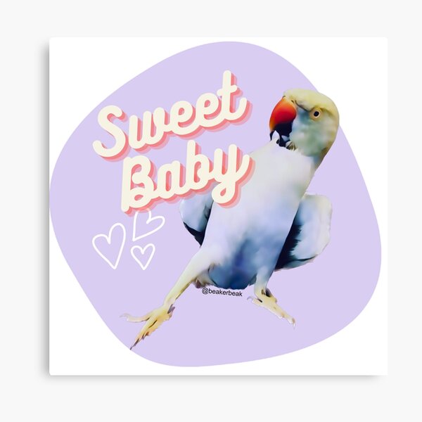 BeakerBeak Shop | Redbubble