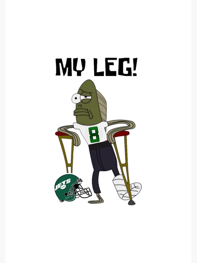 "Aaron Rodgers New York Jets Meme" Sticker for Sale by alenaem | Redbubble