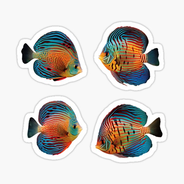"Colourful Discus" Sticker for Sale by Visual-Verse-AU | Redbubble