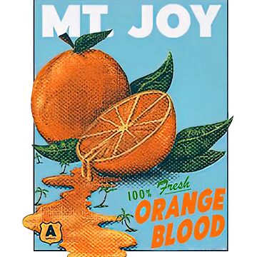 "Mt Joy Orange Blood Mt Joy Merch Men Women Shirt Boy Girl ," Poster by ...