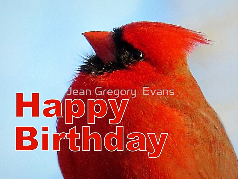 "Red Cardinal - Happy Birthday Card" by Jean Gregory Evans | Redbubble