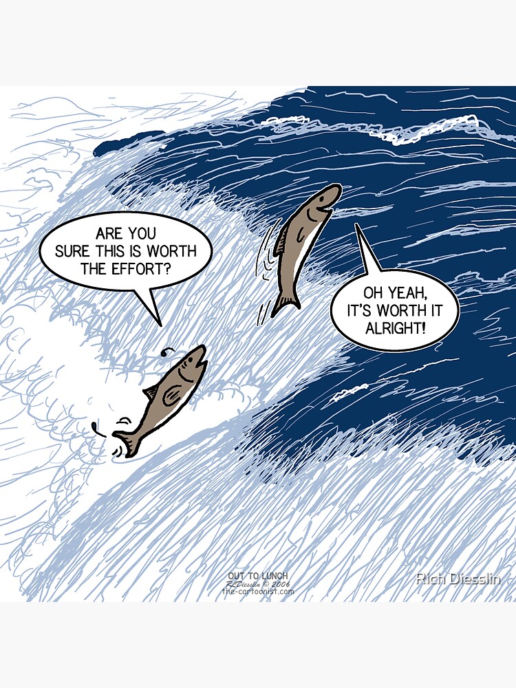 "Salmon Spawning Season Motivational Cartoon" Sticker for Sale by Rich ...