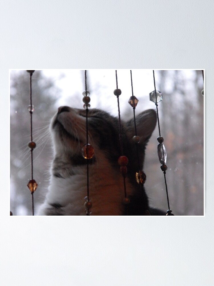 "Day Dreamer" Poster by katpix | Redbubble