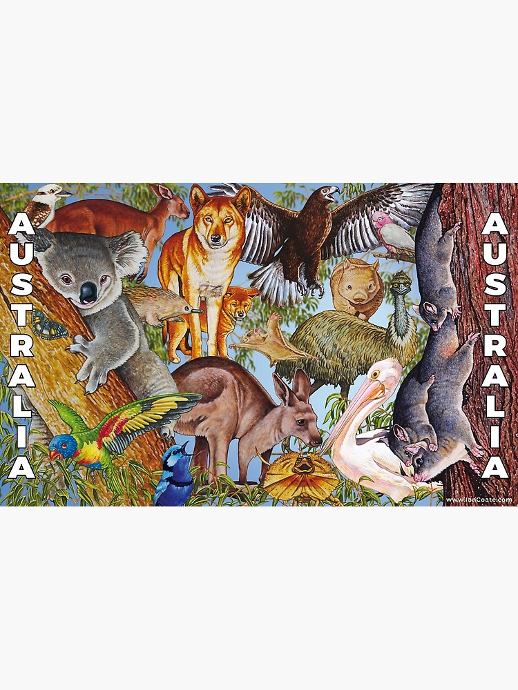"Australian Animals" Poster by iancoate | Redbubble