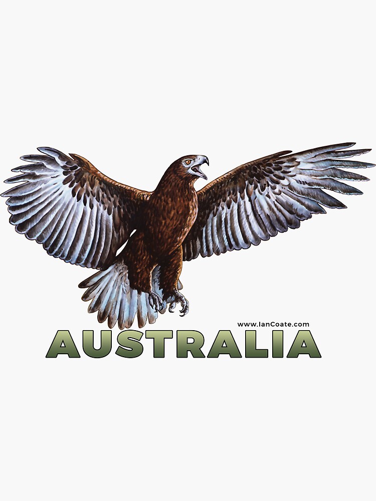 "Australian Eagle" Sticker by iancoate | Redbubble