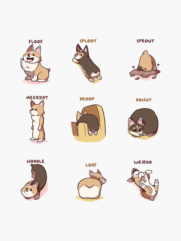 "Corgi Shapes Sticker Pack" Sticker for Sale by danieldeprived | Redbubble