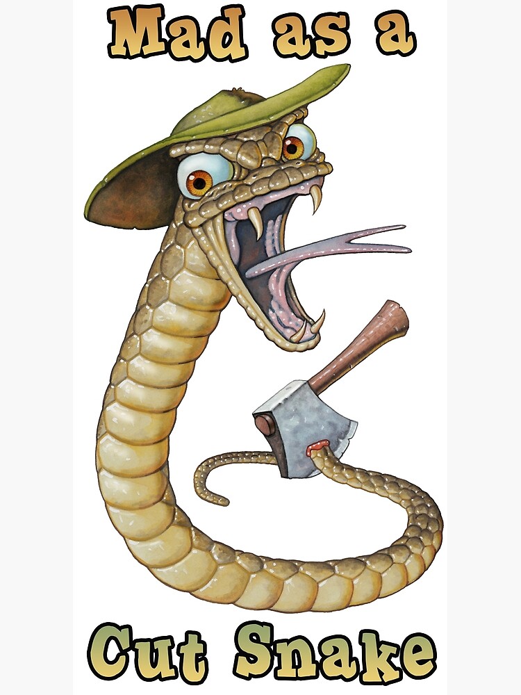"Mad as a cut snake" Art Print for Sale by iancoate | Redbubble