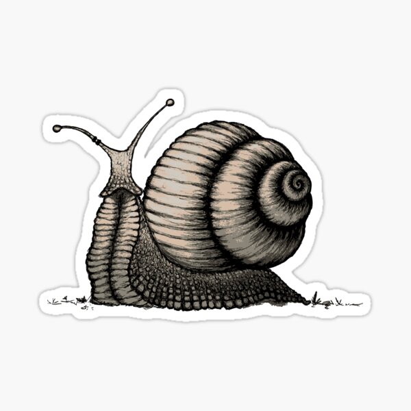 Bumper Stickers One Blue Snail Large Art Sticker Totem Snails Forest ...