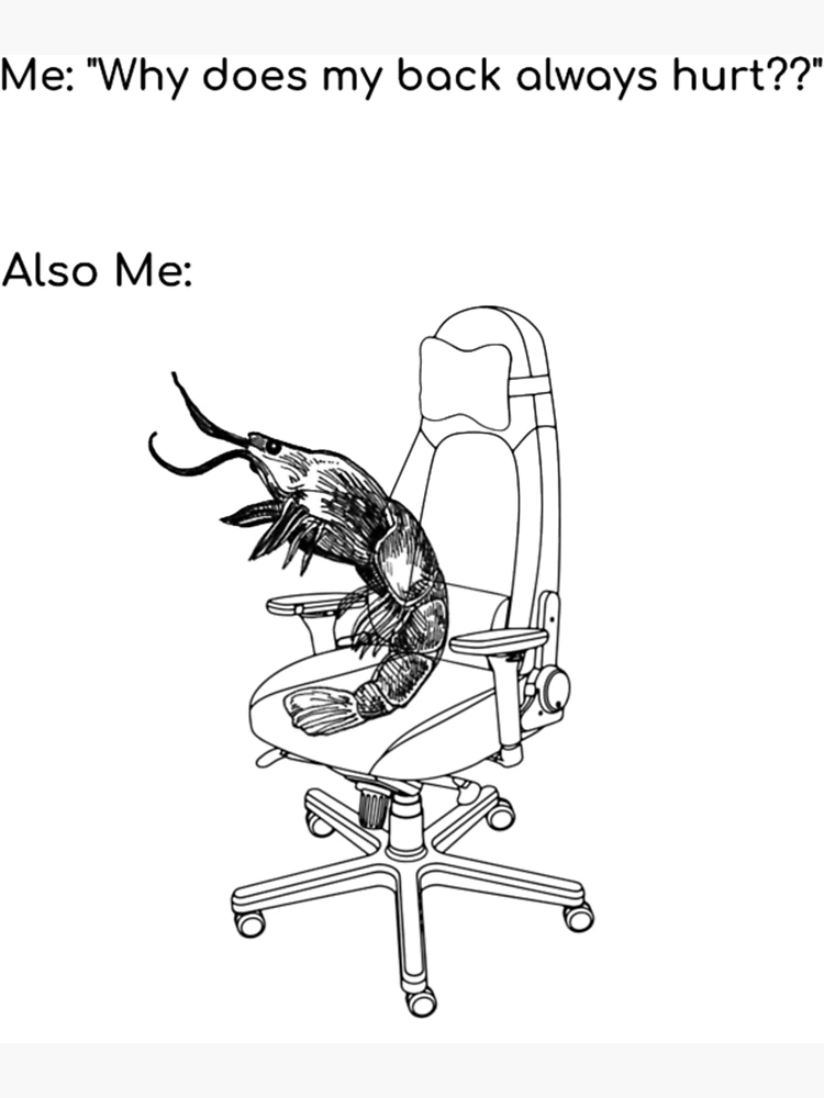 Chair Back Pain Meme My Back Is Hurting From The Chair | TikTok