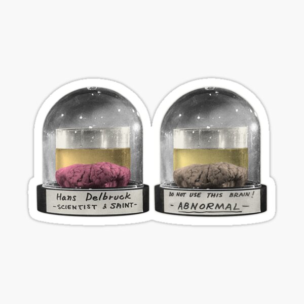 "Do Not Use This Brain! ABNORMAL / Hans Delbruck" Sticker for Sale by ...