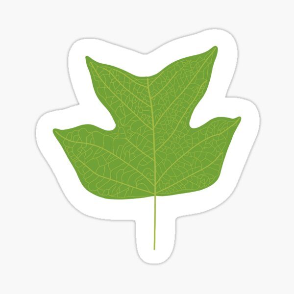 "Yellow poplar leaf" Sticker for Sale by PaigeMo22 | Redbubble