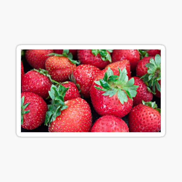 "Strawberry Anyone..." Sticker for Sale by spops | Redbubble