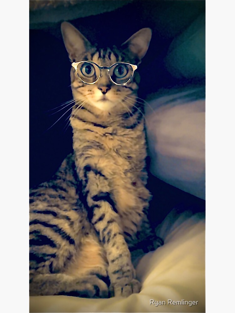 "Yes Dear?" Sticker for Sale by ColorShop41 | Redbubble