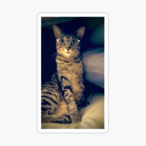 "Yes Dear?" Sticker for Sale by ColorShop41 | Redbubble