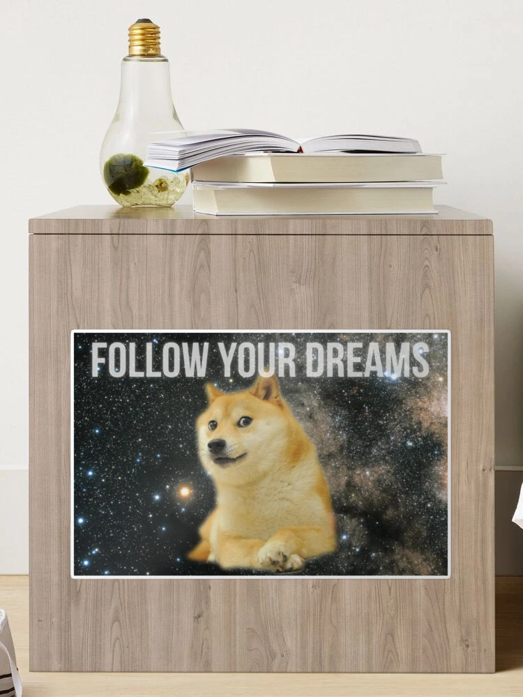 Taco Doge Follow Your Dreams