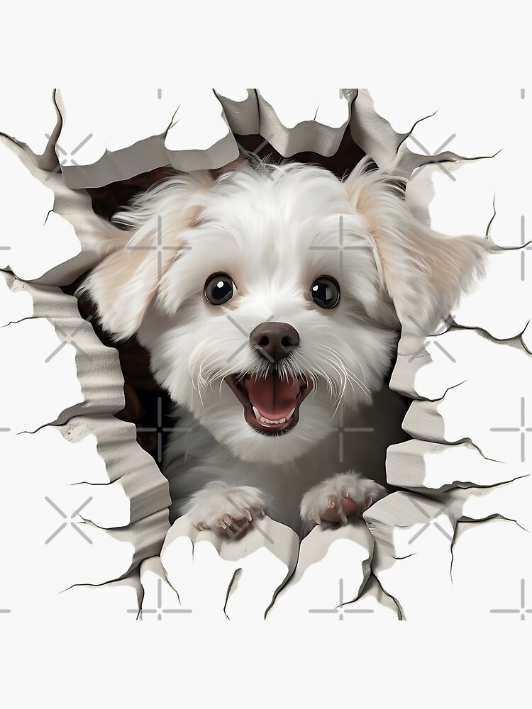 "Maltese Dog breed Popping Out of The Wall #1" Sticker for Sale by ...