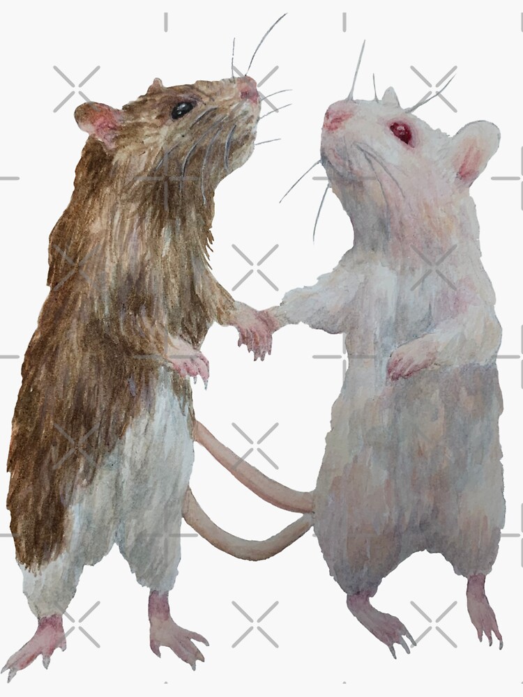 "Rats Holding Hands" Sticker for Sale by paintedpalette3 | Redbubble