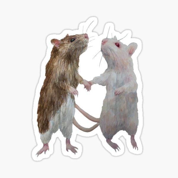 "Rats Holding Hands" Sticker for Sale by paintedpalette3 | Redbubble
