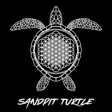 "This is Sandpit Turtle (Bring Me The Horizon) Black And White ...