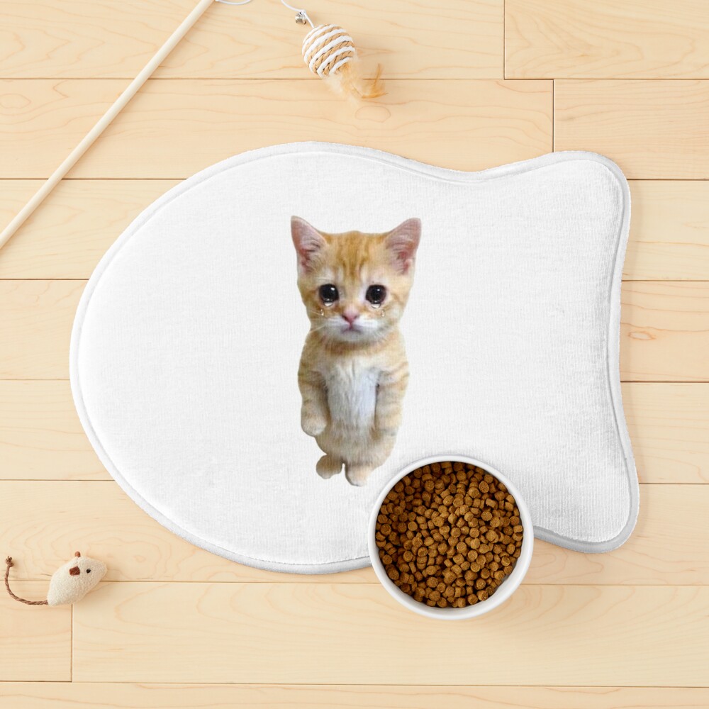 "HQ Sad Crying Cat Standing Up Meme Classic" Pin for Sale by ...