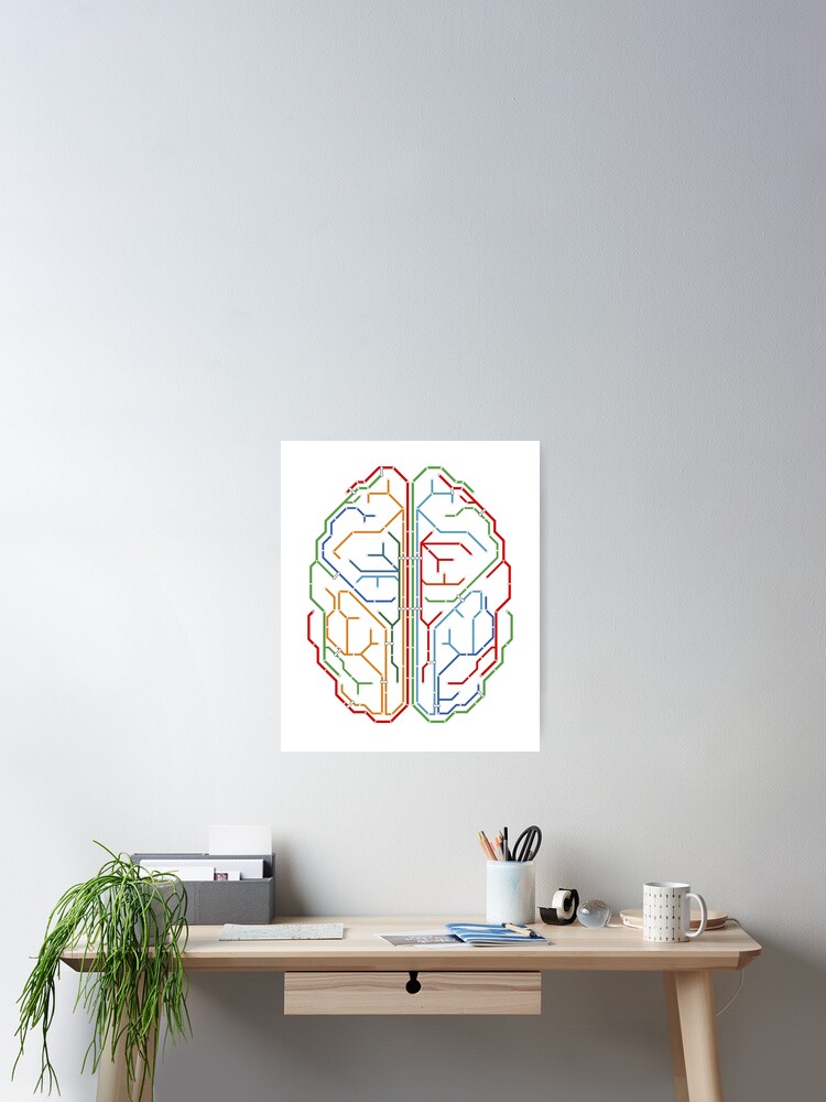 "Brain, network diagram (F011/2154)" Poster for Sale by SciencePhoto ...