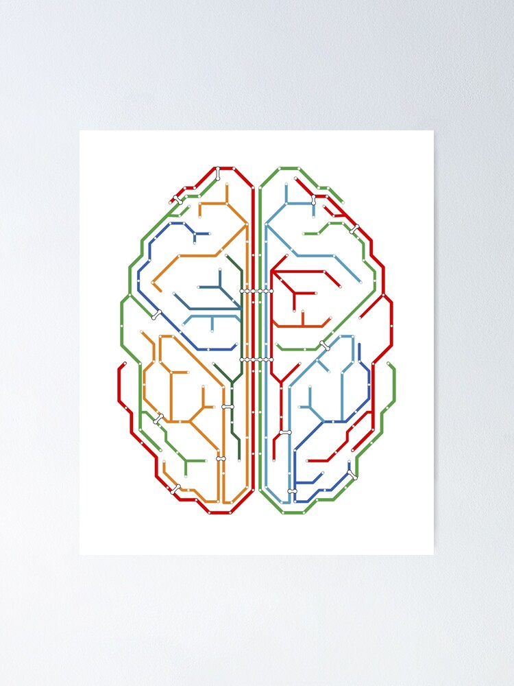 "Brain, network diagram (F011/2154)" Poster for Sale by SciencePhoto ...