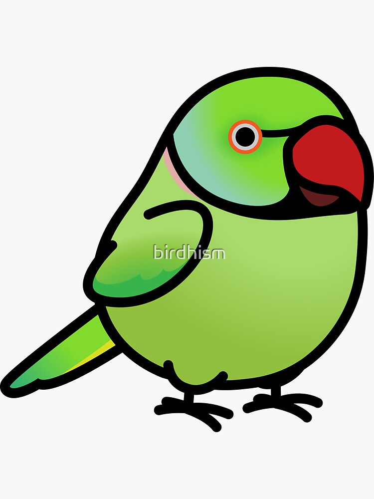 "Chubby Green Indian Ringneck Parakeet" Sticker for Sale by birdhism ...