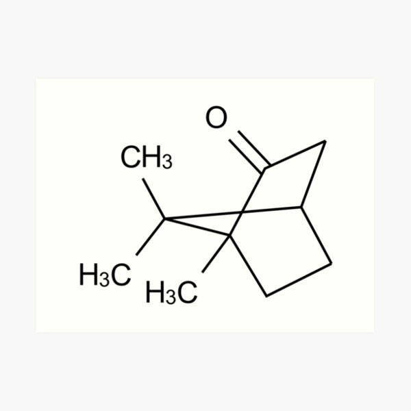 Lámina artística «Estructura de alcanfor molécula química» de Girih ...