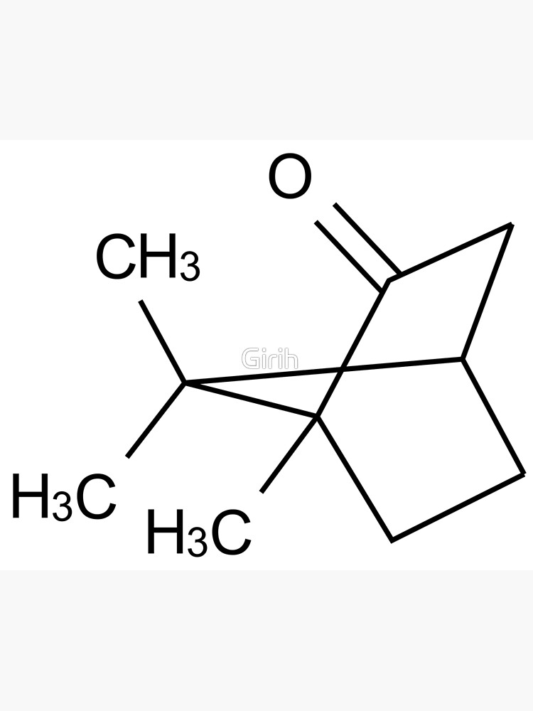"Camphor Chemical Molecule Structure" Art Print by Girih | Redbubble