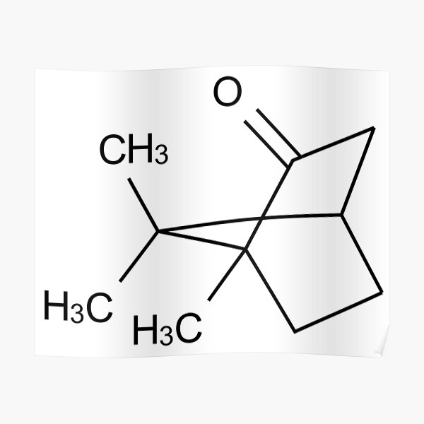 Póster «Estructura de alcanfor molécula química» de Girih | Redbubble
