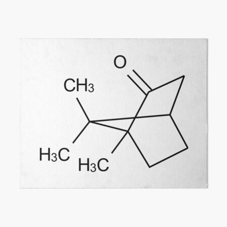 Lámina rígida «Estructura de alcanfor molécula química» de Girih ...